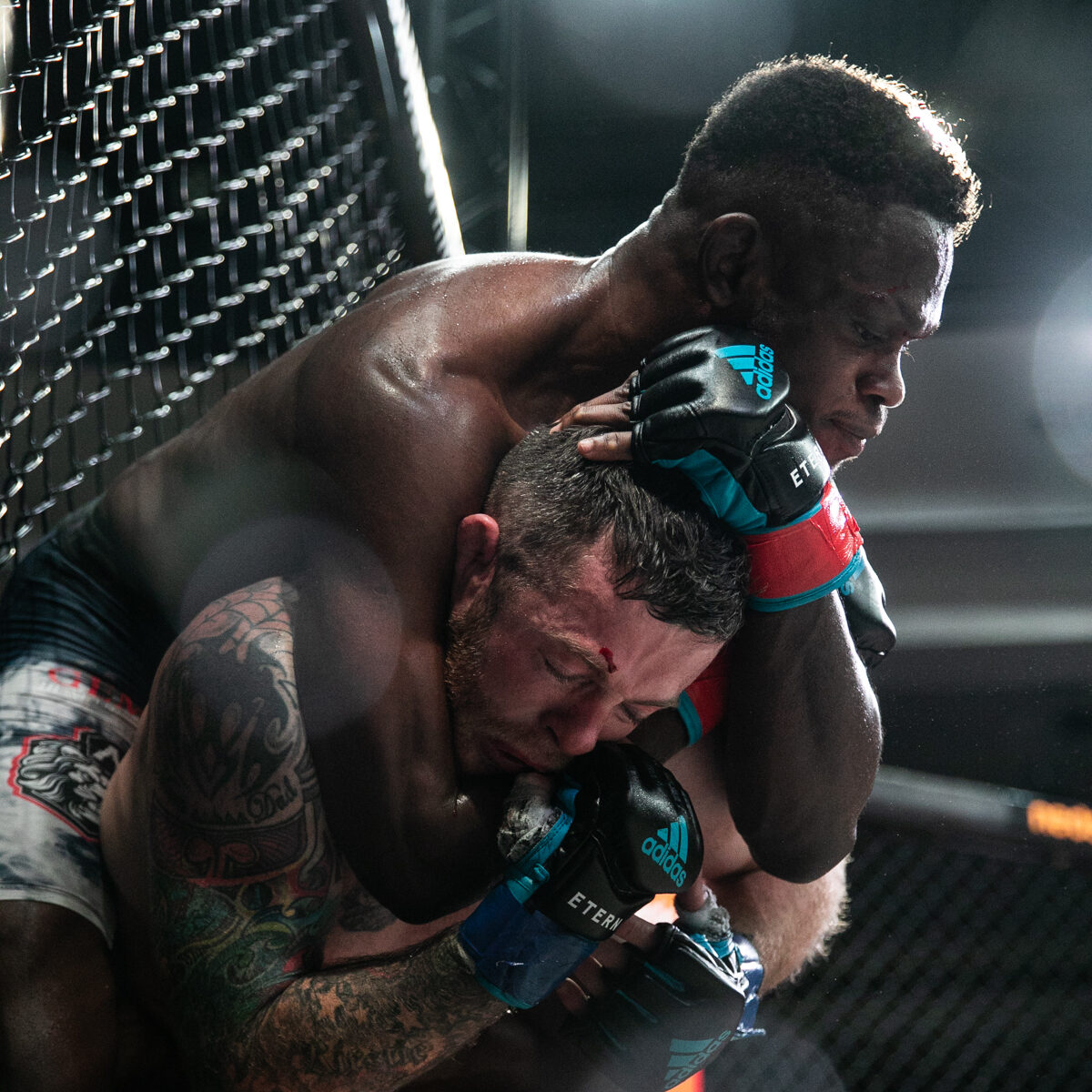 Southside Training Centre – MMA | BJJ | WRESTLING | STRIKING
