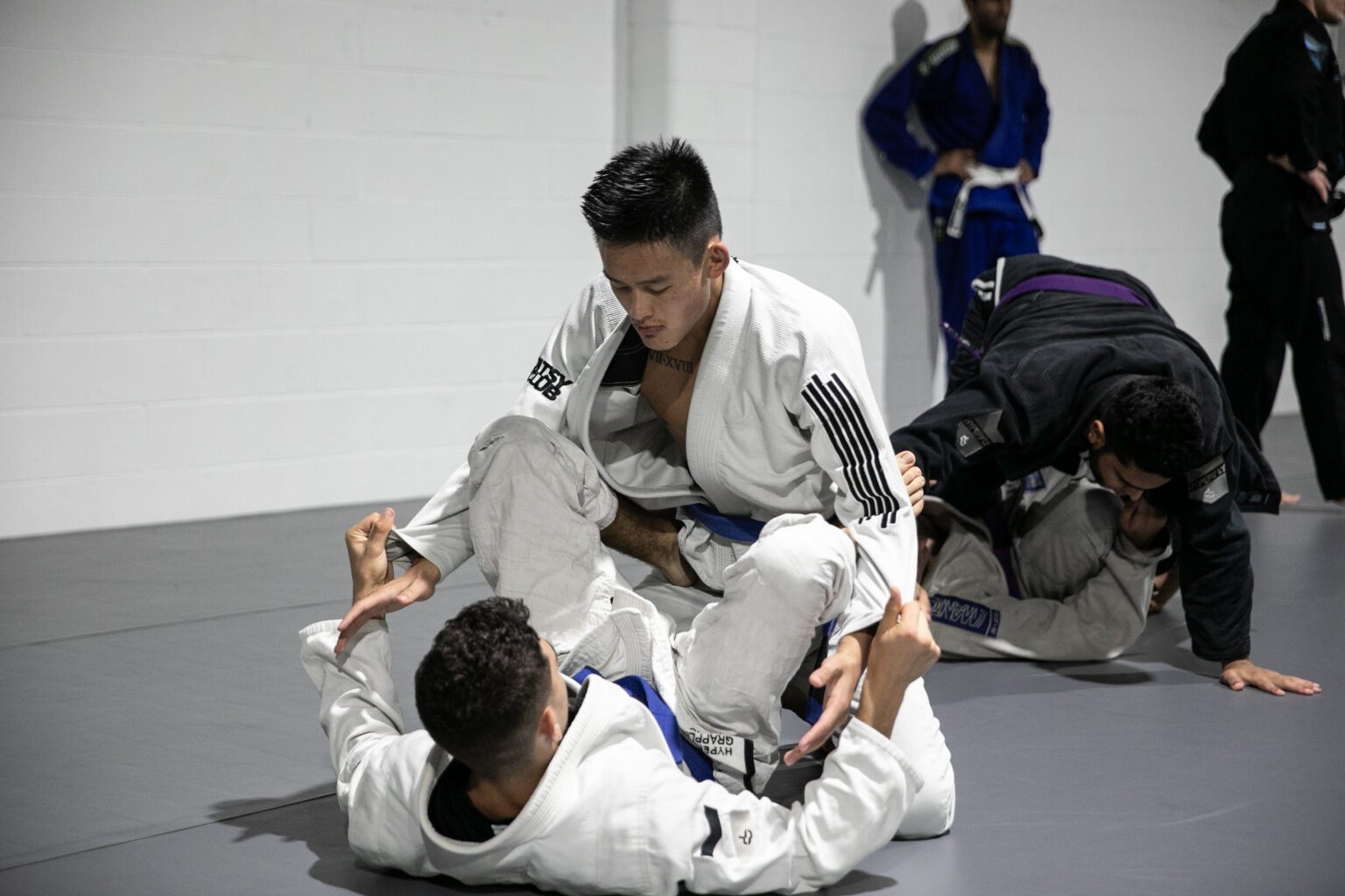 Southside Training Centre – MMA | BJJ | WRESTLING | STRIKING